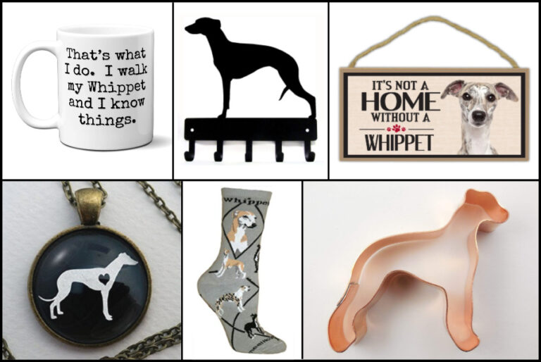15 Awesome Whippet Dog Accessories on Amazon - Spoiled Hounds