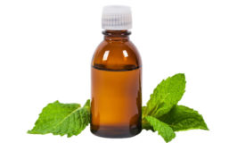 Can Dogs Eat Peppermint? What You Need To Know