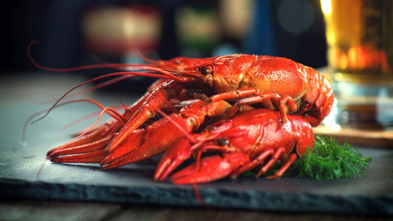 Can Dogs Eat Crawfish? What You Need To Know