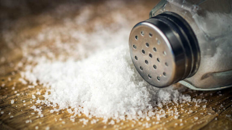 Can Dogs Eat Salt and Pepper? What You Need to Know