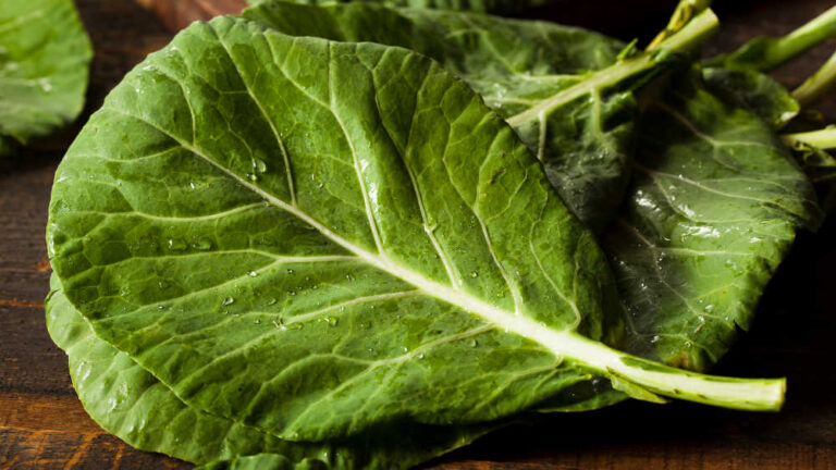 Can Dogs Eat Collard Greens? What to Know About Dogs And Collards