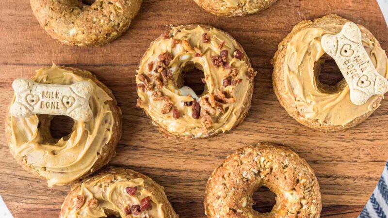Homemade Peanut Butter Dog Donuts - Spoiled Hounds