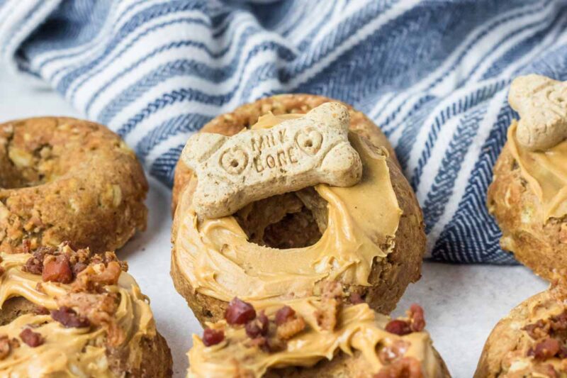Homemade Peanut Butter Dog Donuts - Spoiled Hounds