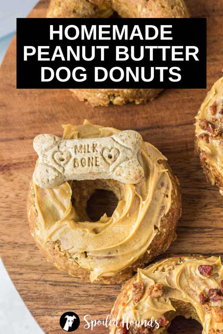 Homemade Peanut Butter Dog Donuts - Spoiled Hounds