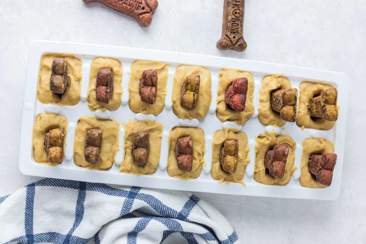 Homemade Peanut Butter Dog Popsicles - Spoiled Hounds