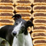 Can Dogs Eat Fig Newtons? What You Need To Know - Spoiled Hounds