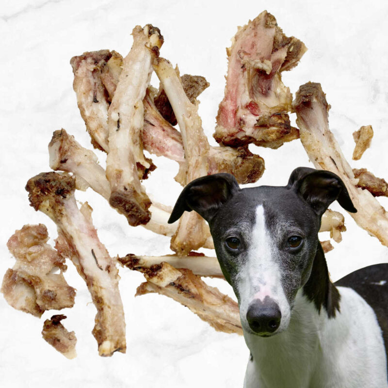 Can Dogs Eat Rib Bones? What You Need To Know