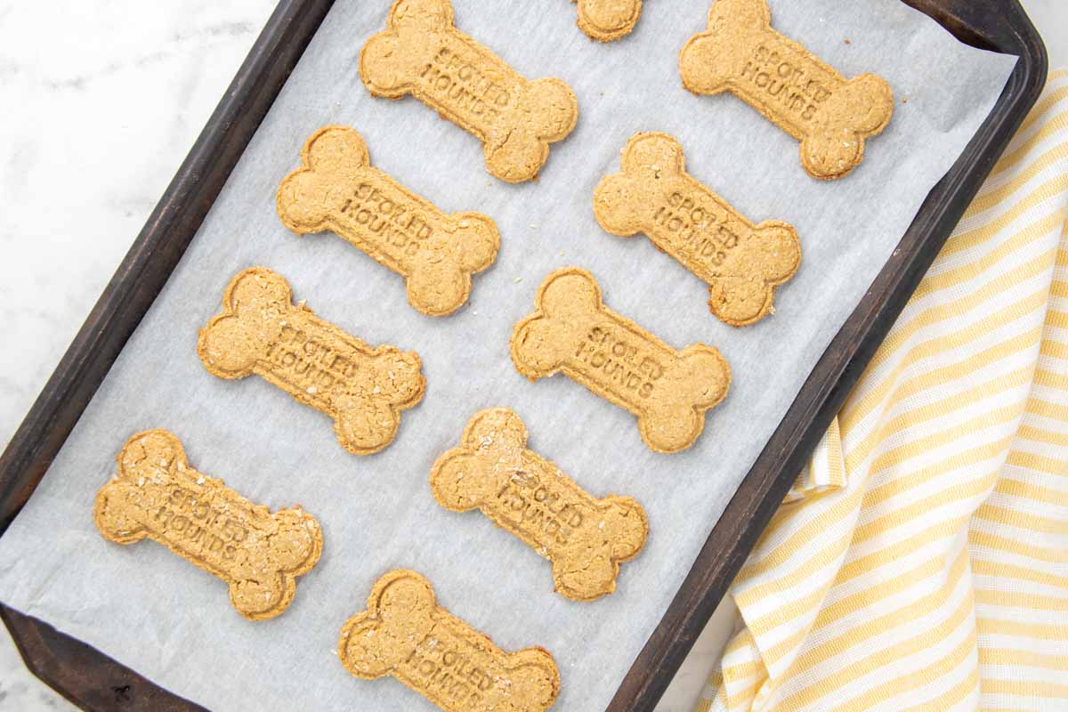 Peanut Butter Dog Biscuits Recipe - Spoiled Hounds