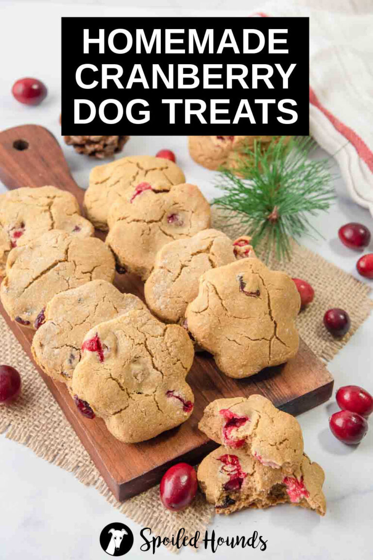 Best Cranberry Dog Treats Recipe - Spoiled Hounds