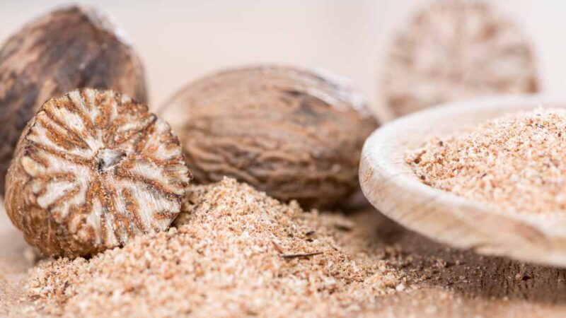 Can Dogs Have Nutmeg? What You Need To Know