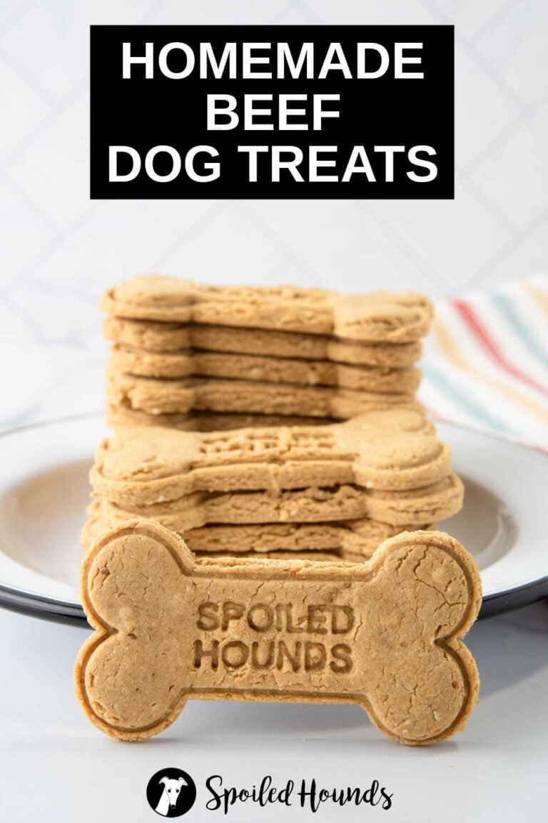 Easy Beef Dog Treats Recipe - Spoiled Hounds