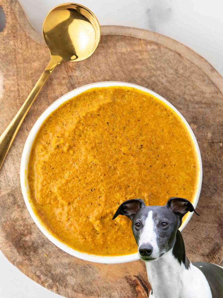 Easy Golden Paste for Dogs Recipe - Spoiled Hounds