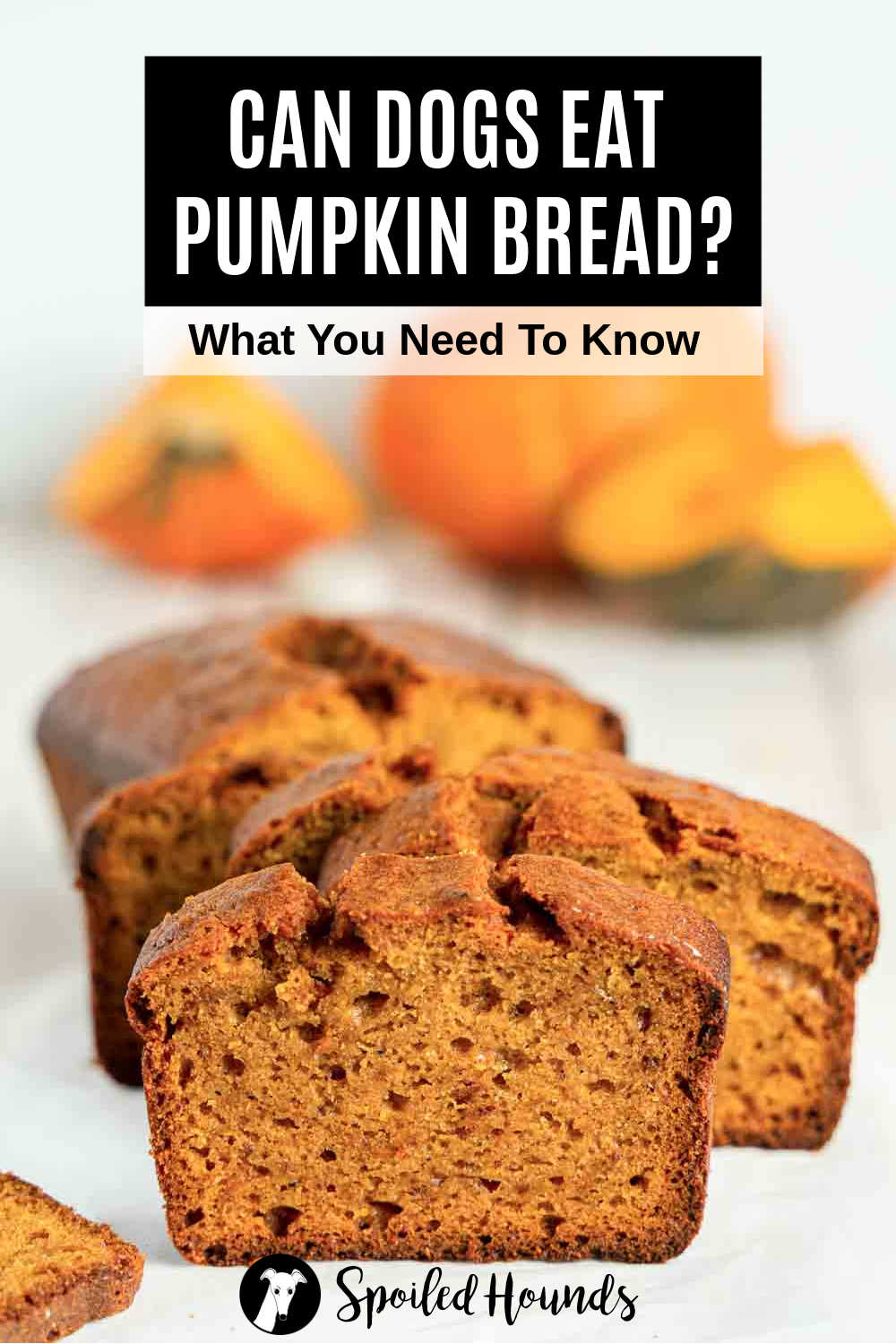 Can Dogs Eat Pumpkin Bread? What You Need To Know