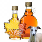 Can Dogs Have Maple Syrup? What You Need To Know