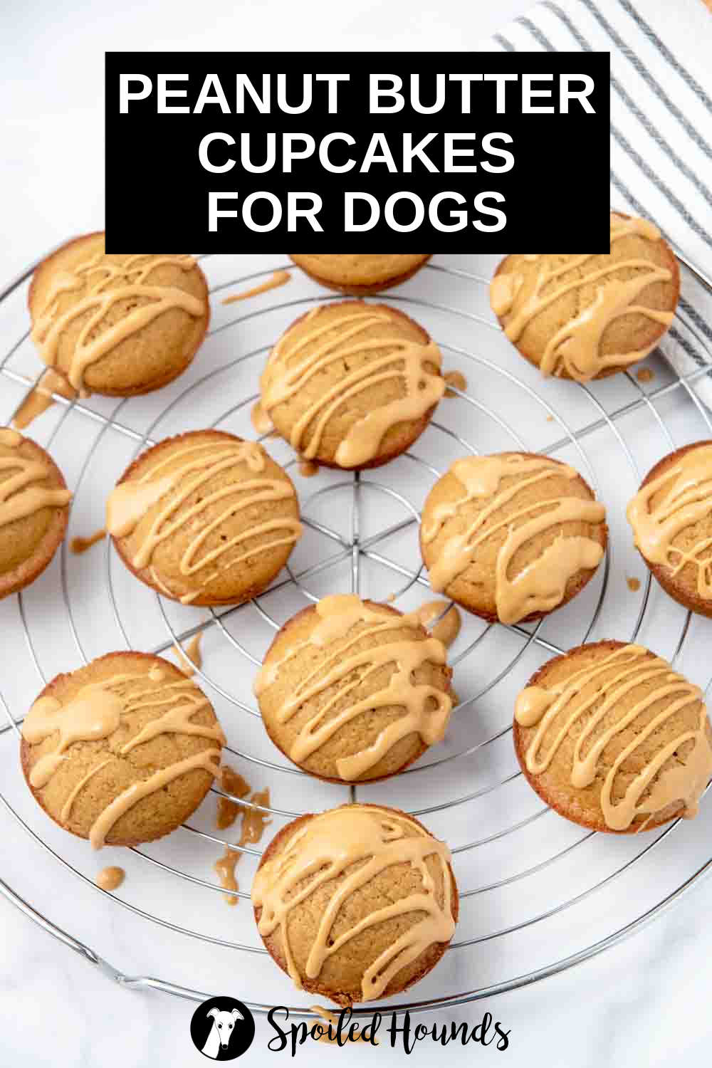 Homemade Peanut Butter Cupcakes For Dogs (Pupcakes) - Spoiled Hounds