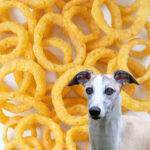 Can Dogs Eat Funyuns? What You Need To Know