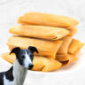 Can Dogs Eat Tamales? What You Need To Know