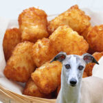 Can Dogs Eat Tater Tots? What You Need To Know