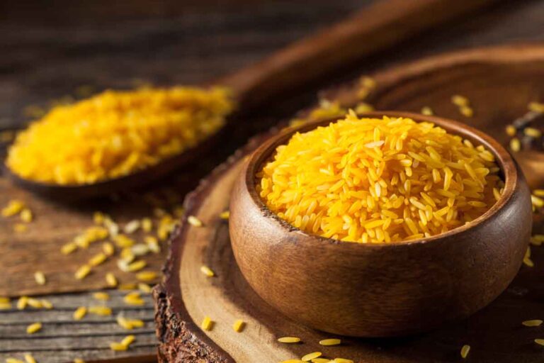 Can Dogs Eat Yellow Rice? What You Need To Know