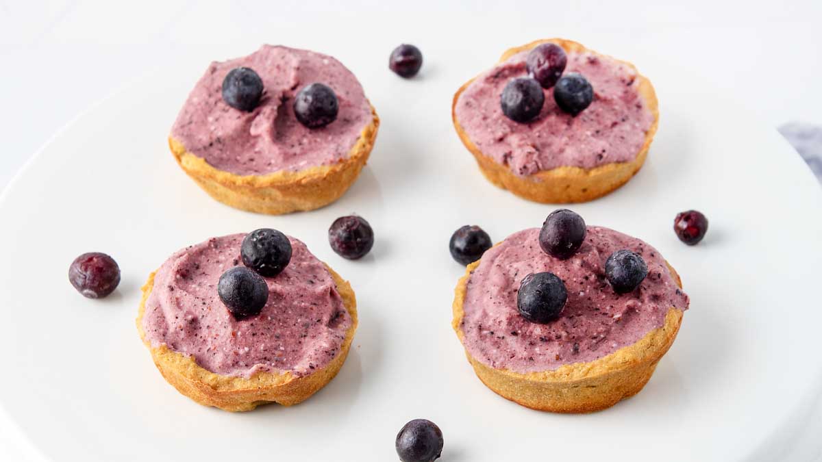 Homemade Blueberry Pie For Dogs