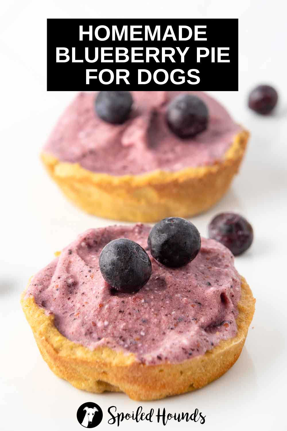 Homemade Blueberry Pie For Dogs - Spoiled Hounds