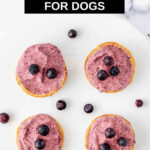 Homemade Blueberry Pie For Dogs - Spoiled Hounds
