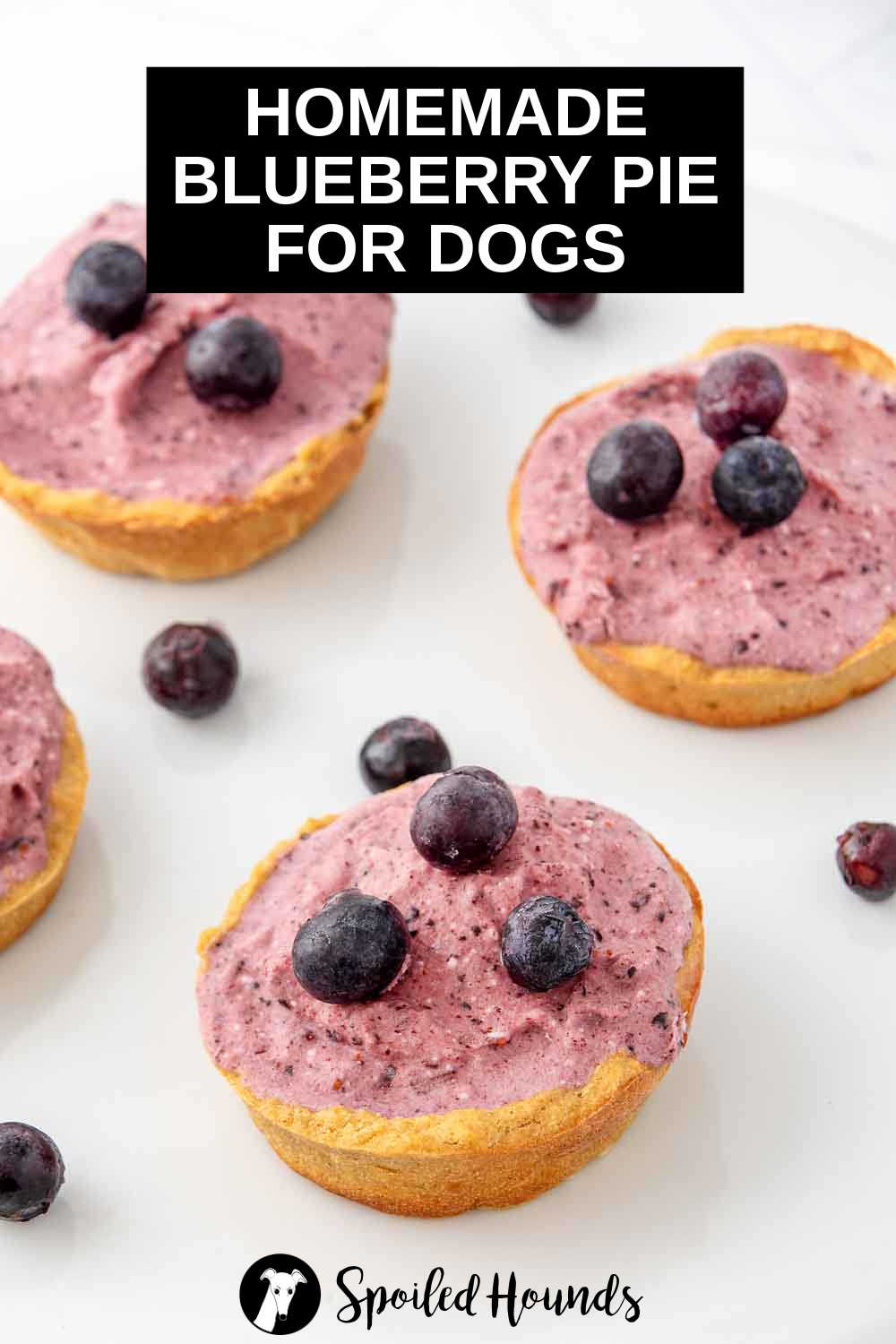 Homemade Blueberry Pie For Dogs - Spoiled Hounds