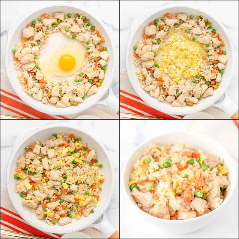 Fried Rice For Dogs