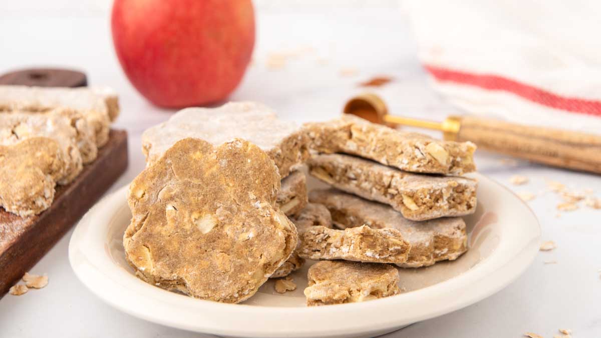 Homemade Apple Cinnamon Dog Treats with Oats