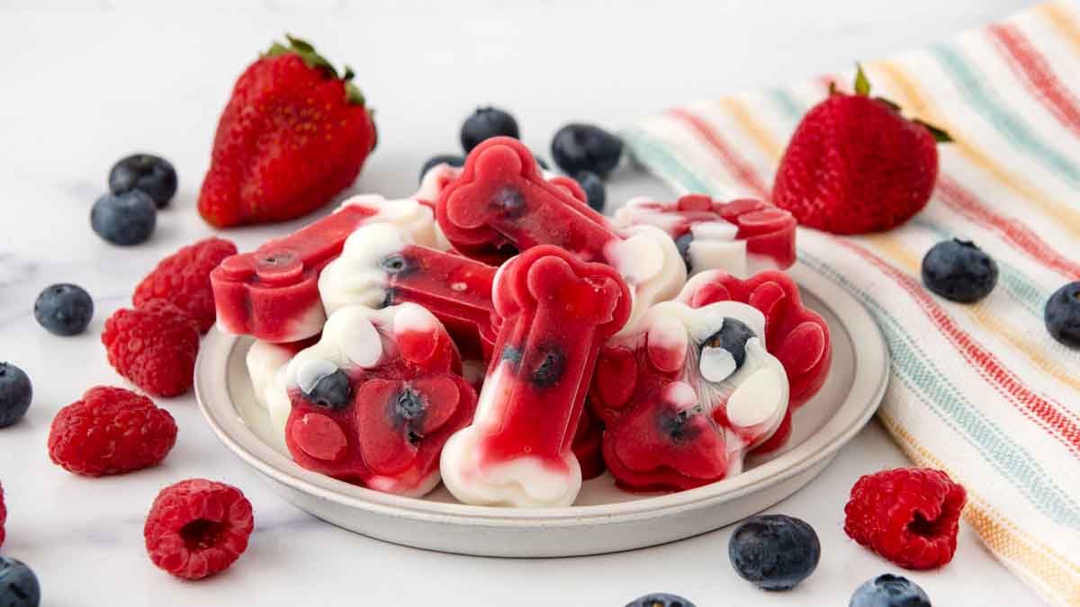 Frozen Berry Dog Treats with Yogurt