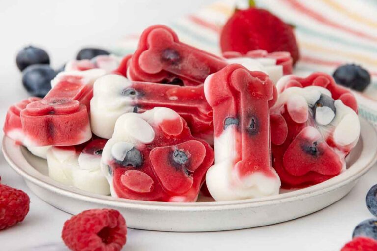 Frozen Berry Dog Treats with Yogurt