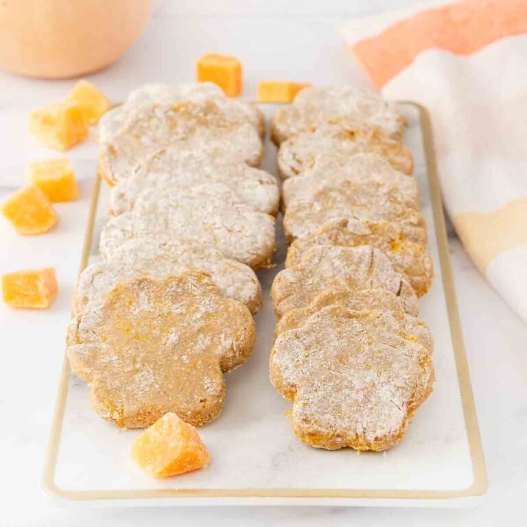 Butternut Squash Dog Treats