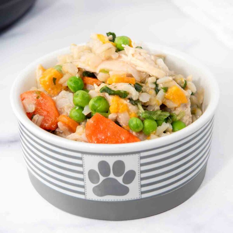 Instant Pot Chicken and Rice for Dogs