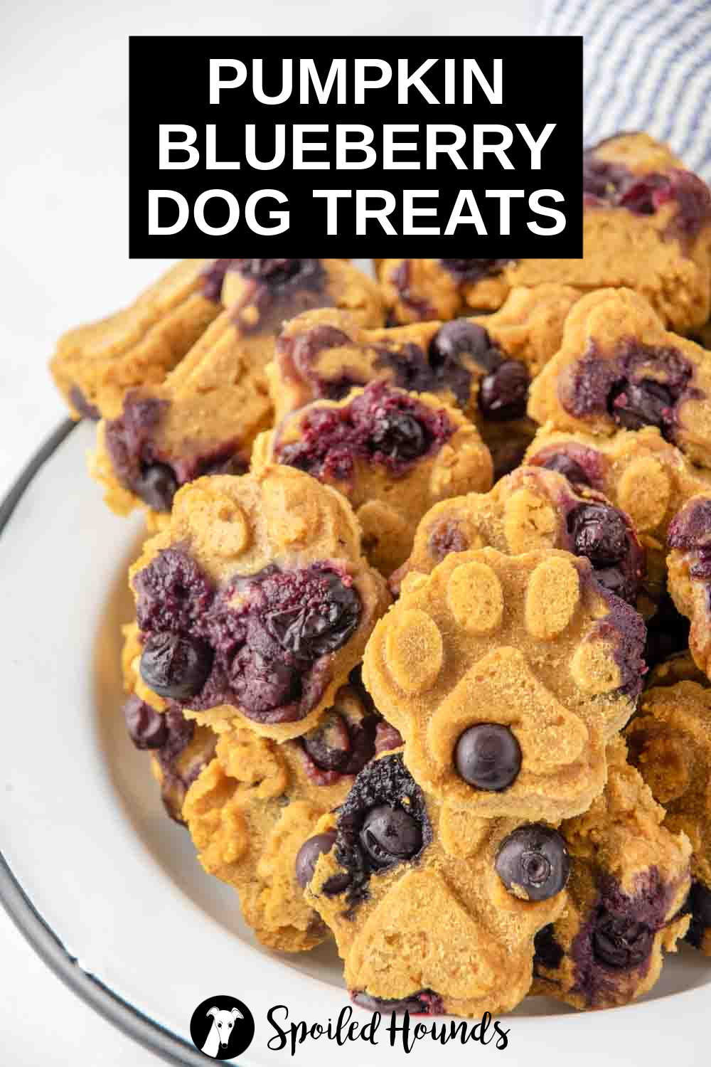 Pumpkin Blueberry Dog Treats
