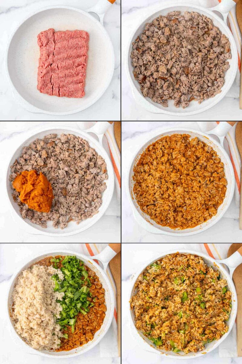 Turkey and Pumpkin Dog Food