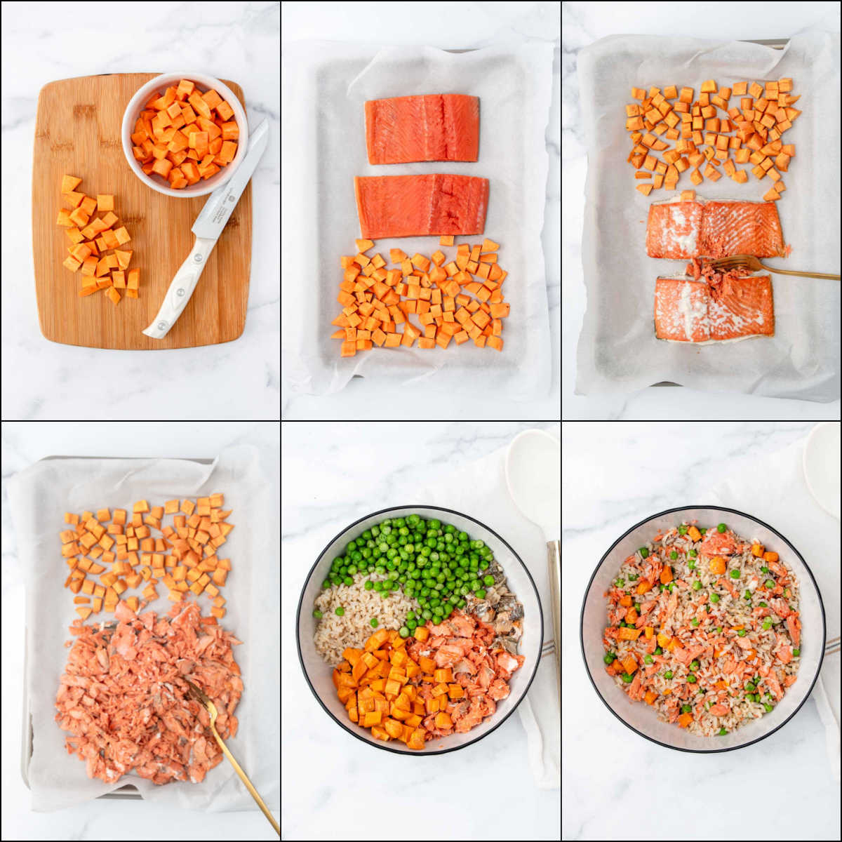 Salmon Dog Food