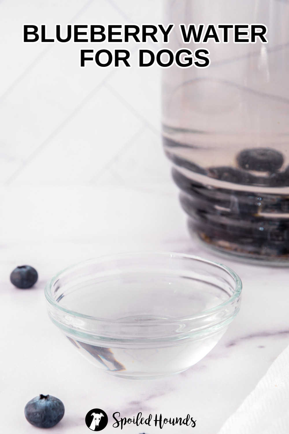Homemade Blueberry Water for Dogs
