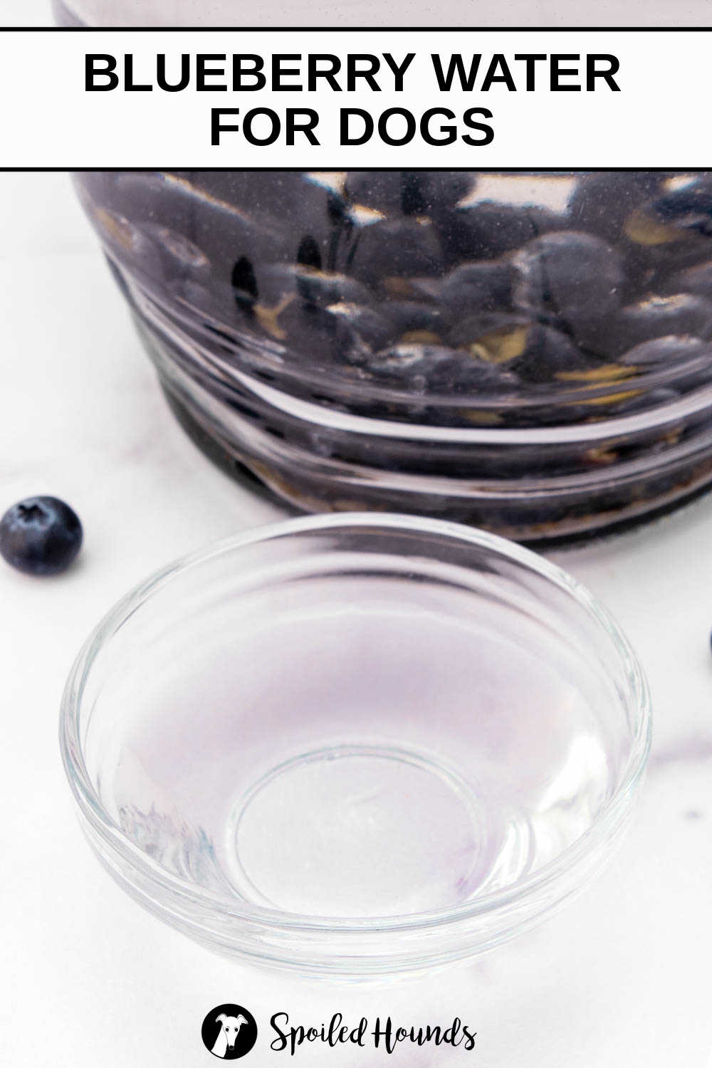 Homemade Blueberry Water for Dogs