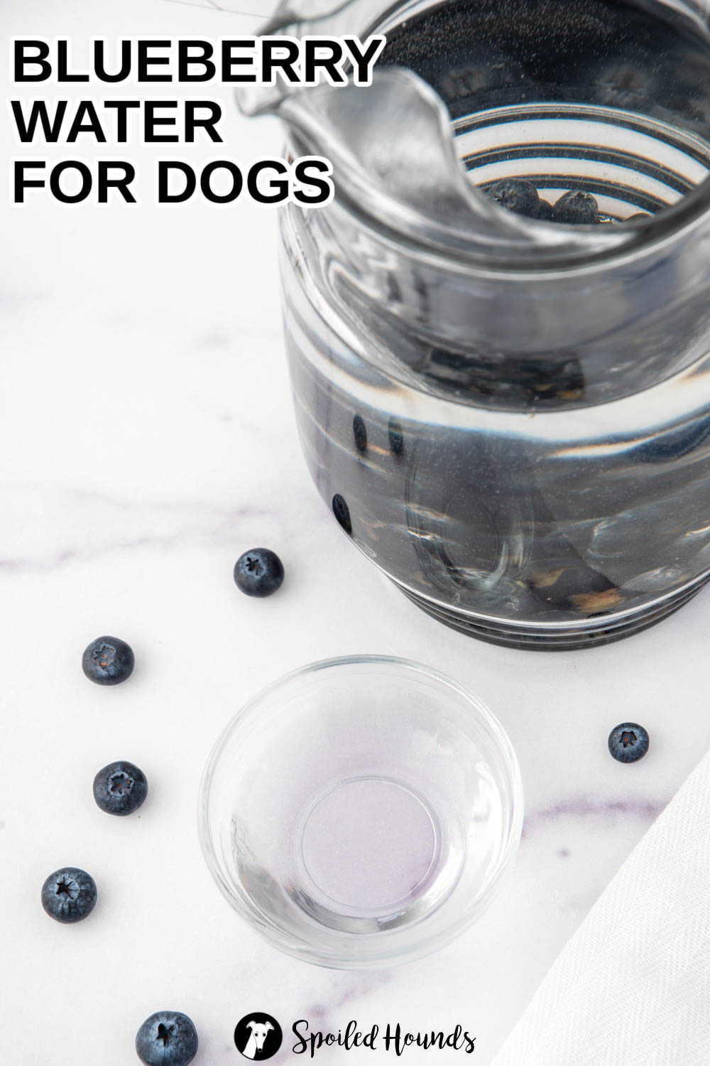 Homemade Blueberry Water for Dogs