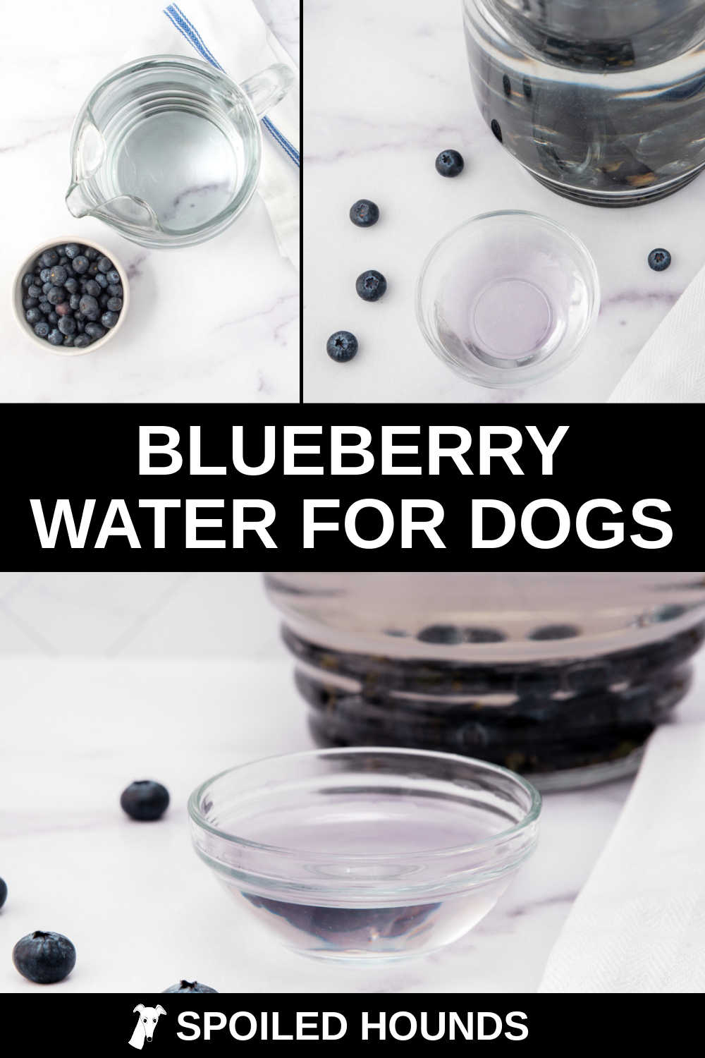 Homemade Blueberry Water for Dogs