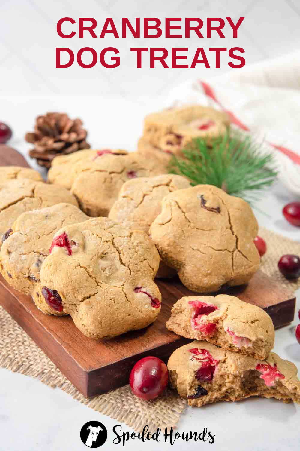 Cranberry Dog Treats Recipe