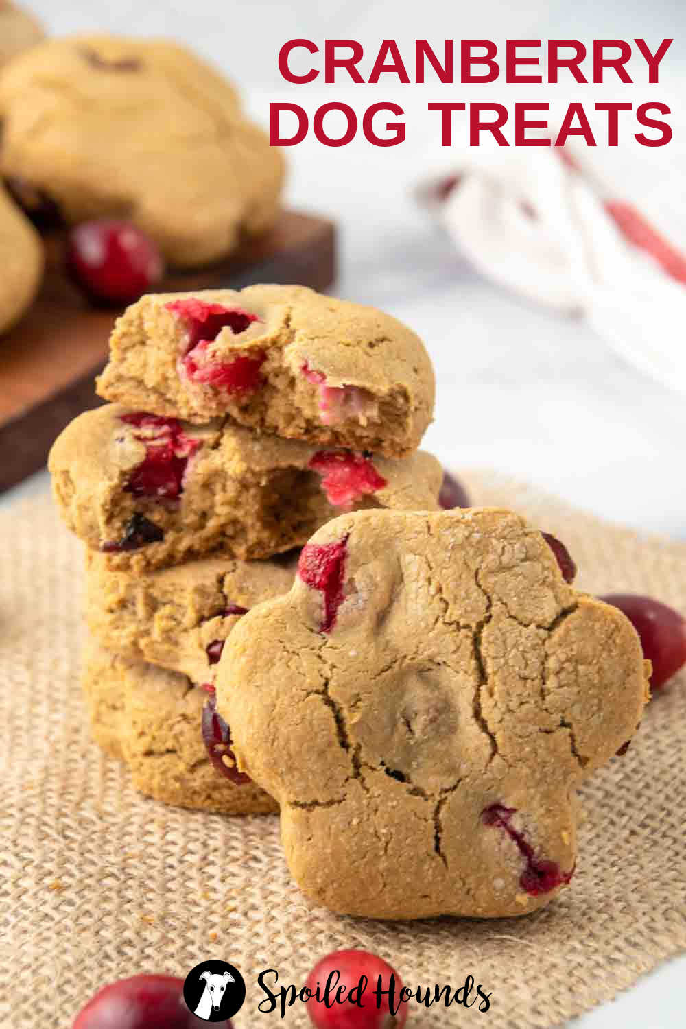 Cranberry Dog Treats Recipe