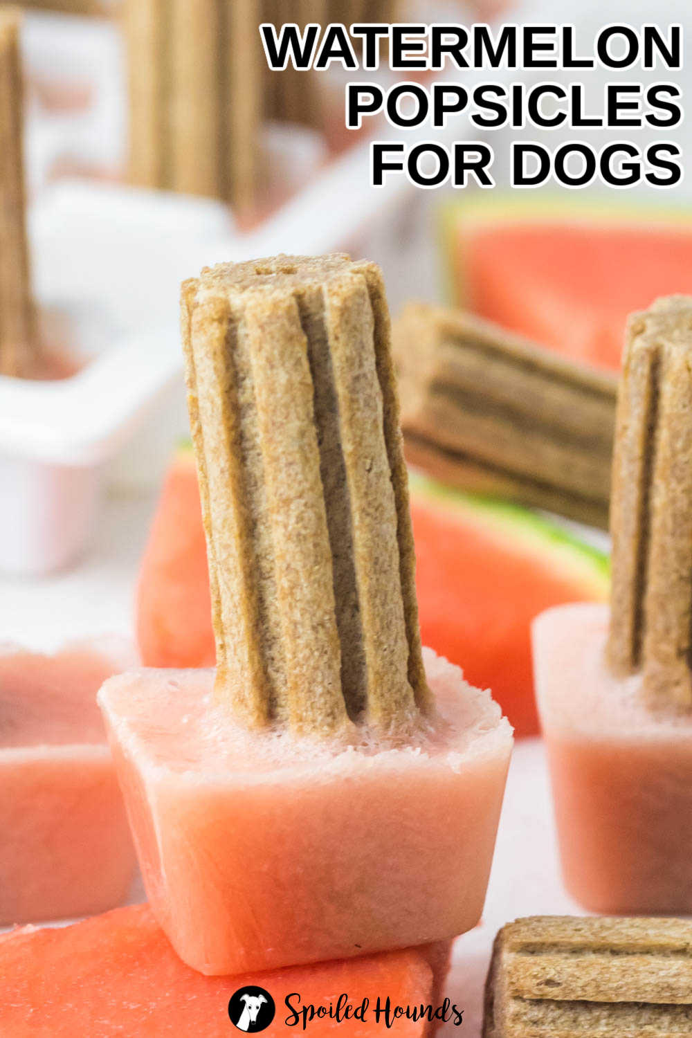 Watermelon Popsicles For Dogs (Pupsicles)