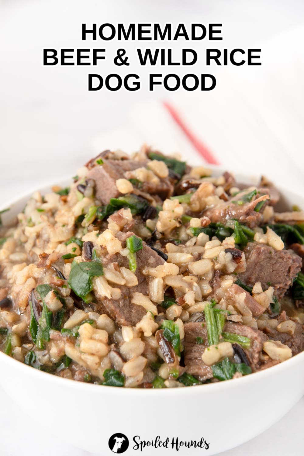Beef and Wild Rice Dog Food Recipe