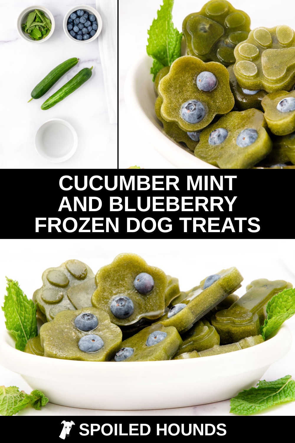Frozen Cucumber Mint Blueberry Dog Treats