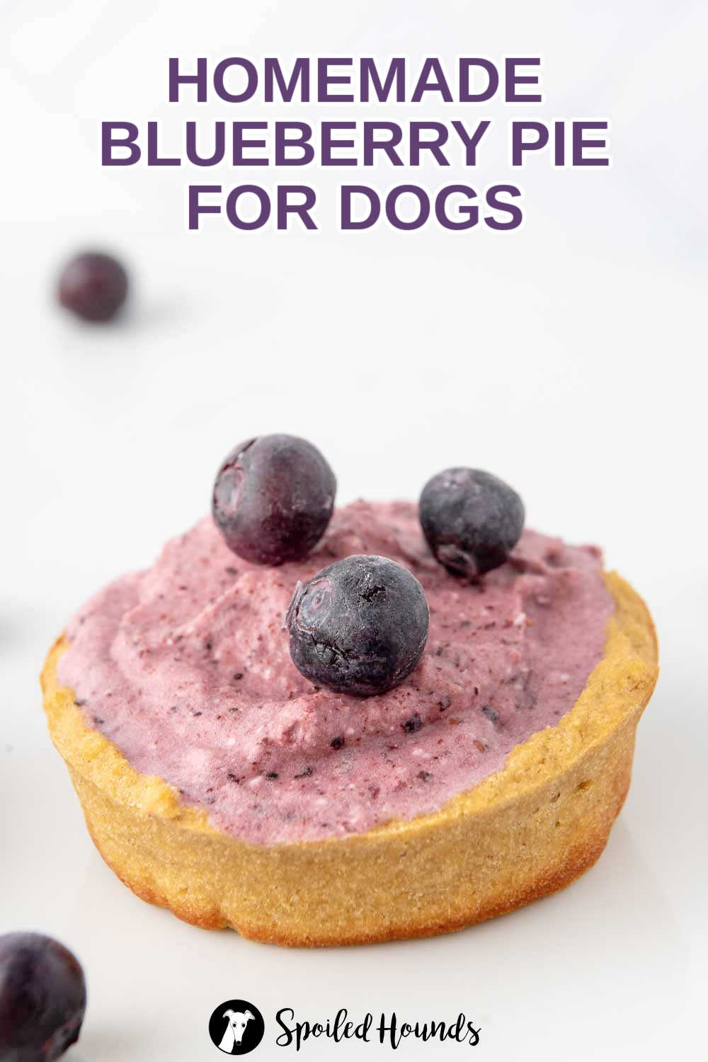 Homemade Blueberry Pie For Dogs