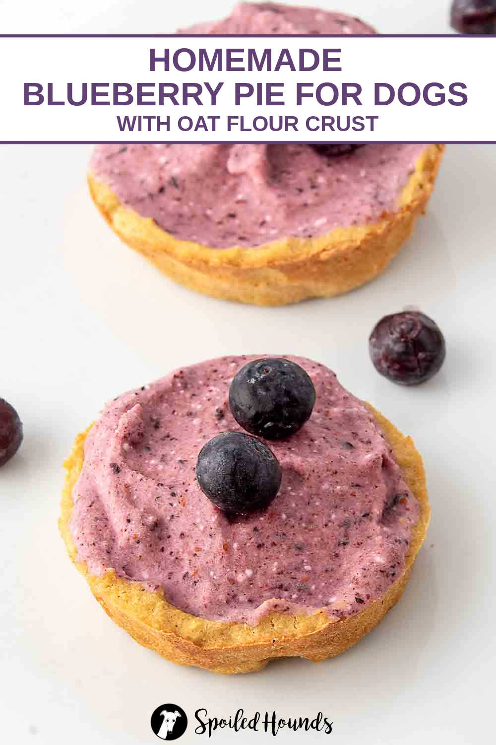 Homemade Blueberry Pie For Dogs