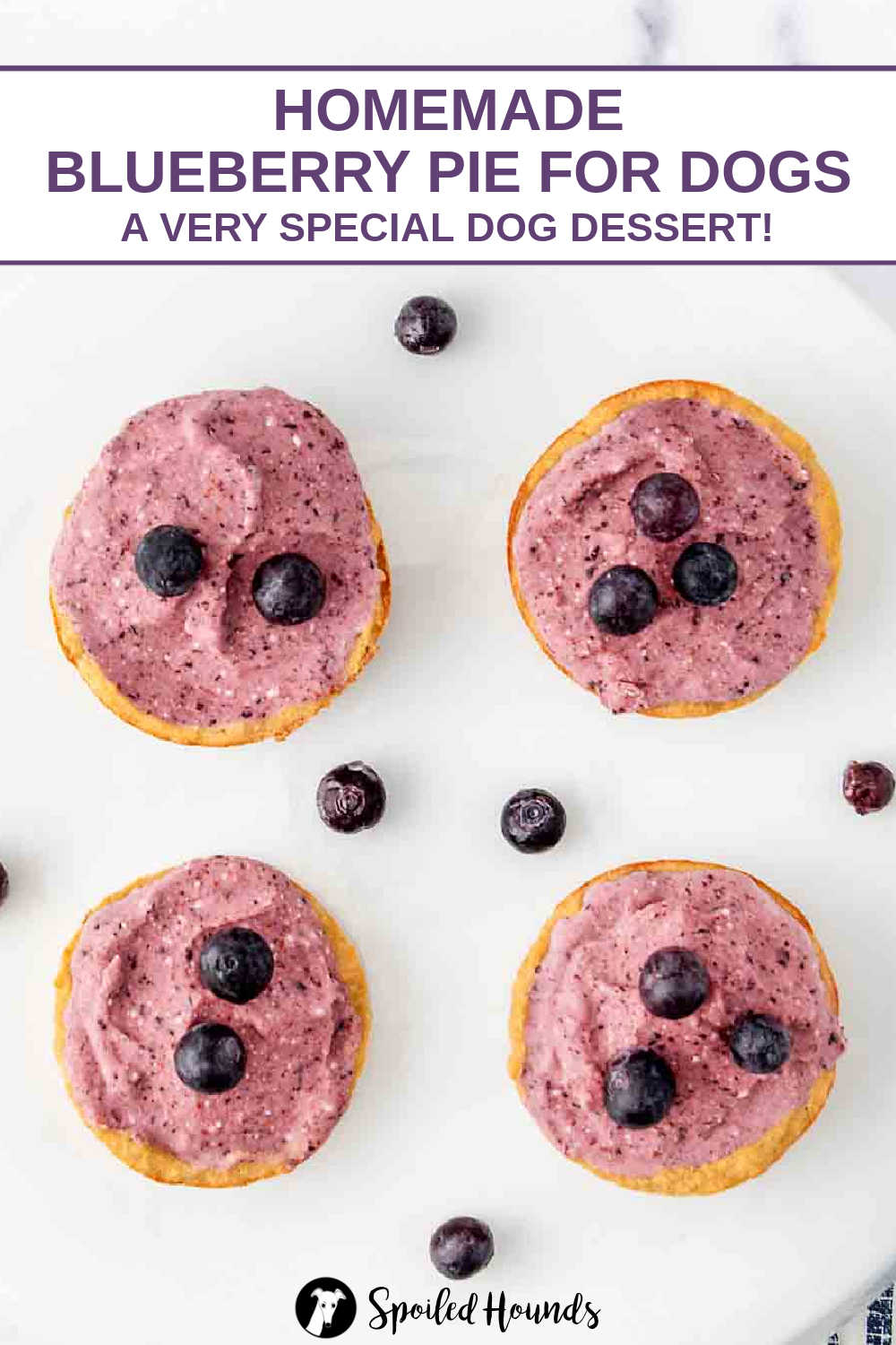 Homemade Blueberry Pie For Dogs