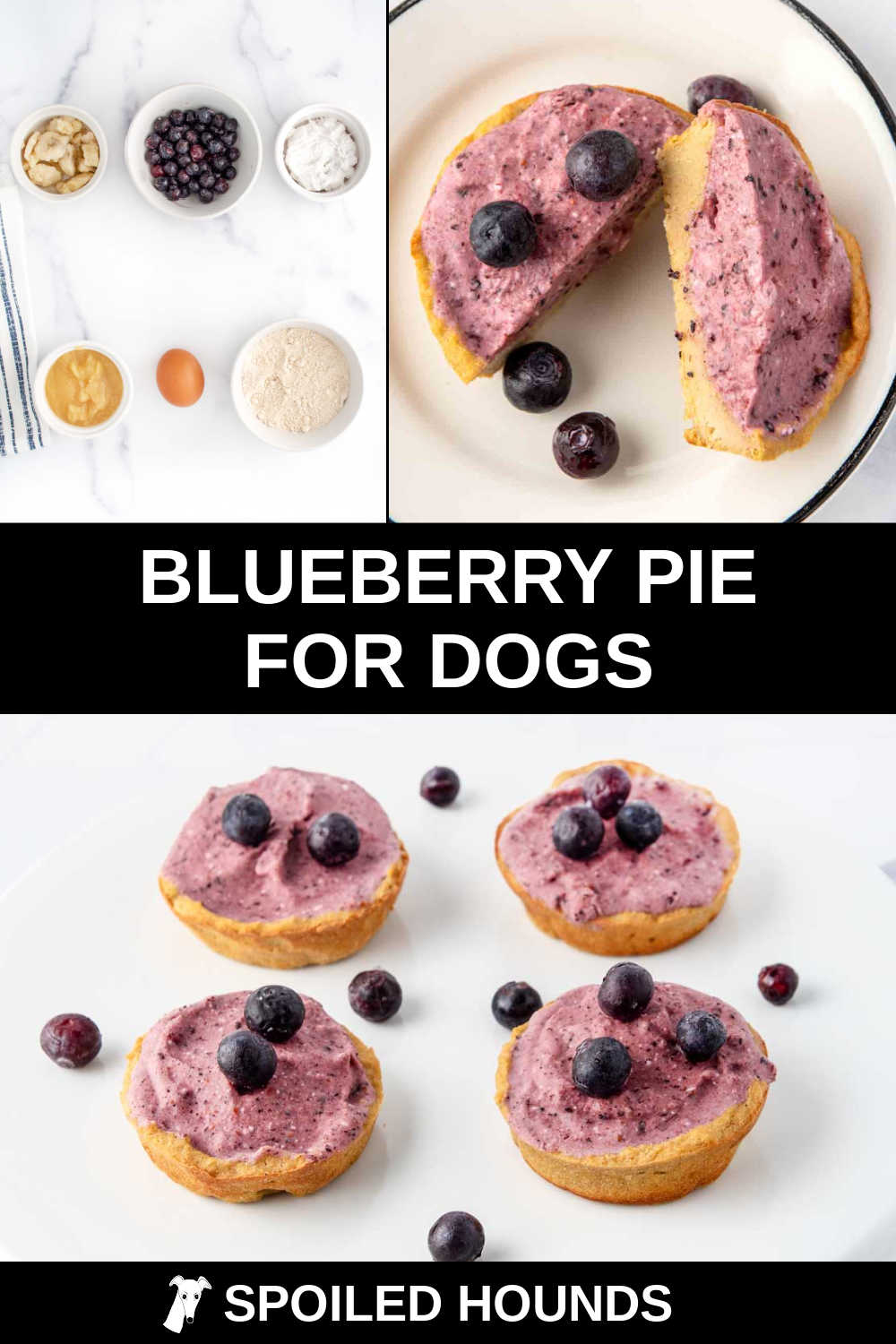 Homemade Blueberry Pie For Dogs