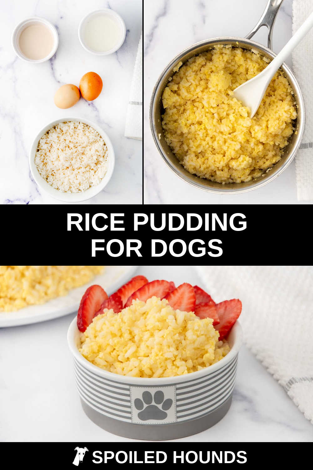 Rice Pudding For Dogs